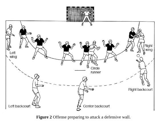 Team Handball Positions NZHF Is Seeking Expressions Of Interest For