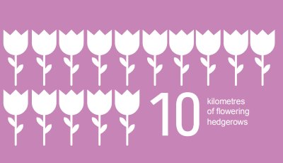 Olam on Twitter: "In 2017, we required around 680m bees for our orchards. In the years leading ...