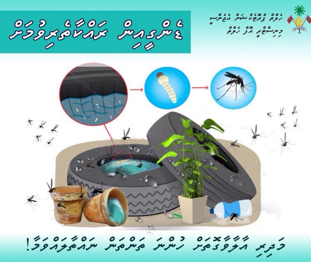 Stagnant Water Dengue
