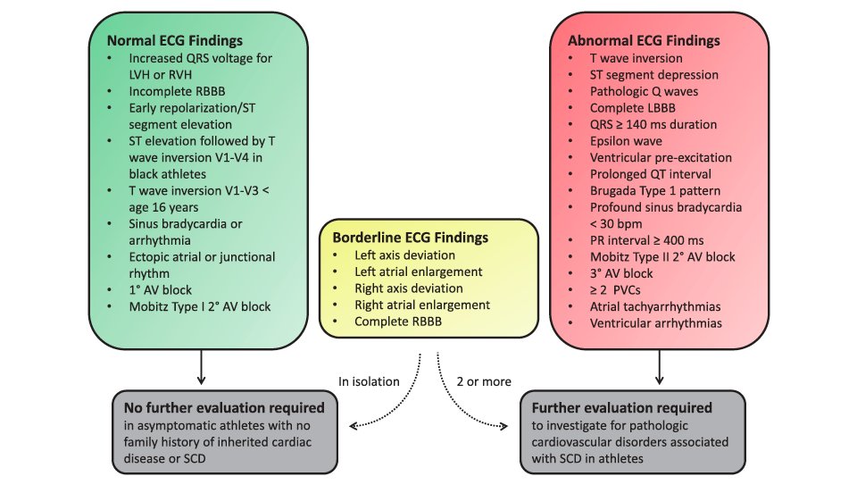 Elibet Chávez González (@chavez_elibet) | Twitter