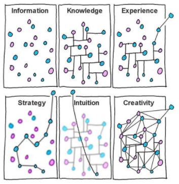 John Meng on Twitter: "Information vs Knowledge vs Experience vs Strategy vs Intuition vs ...