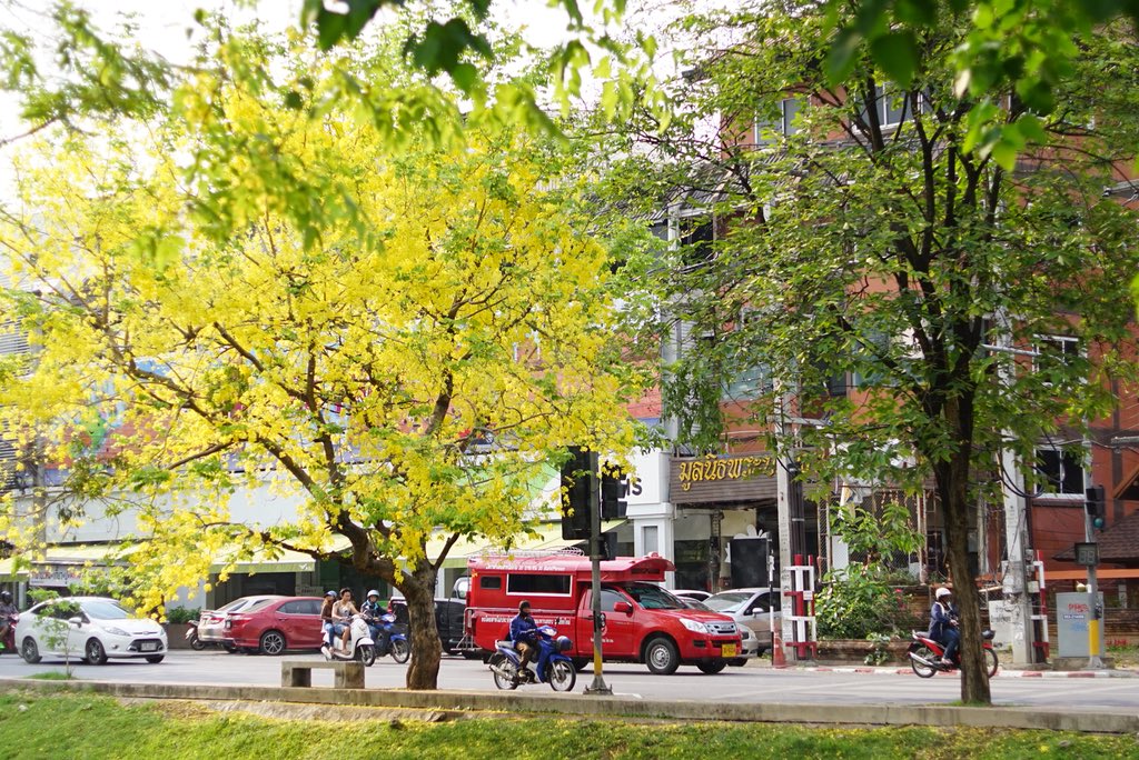 James__apisit (@James_apisitt) | Twitter