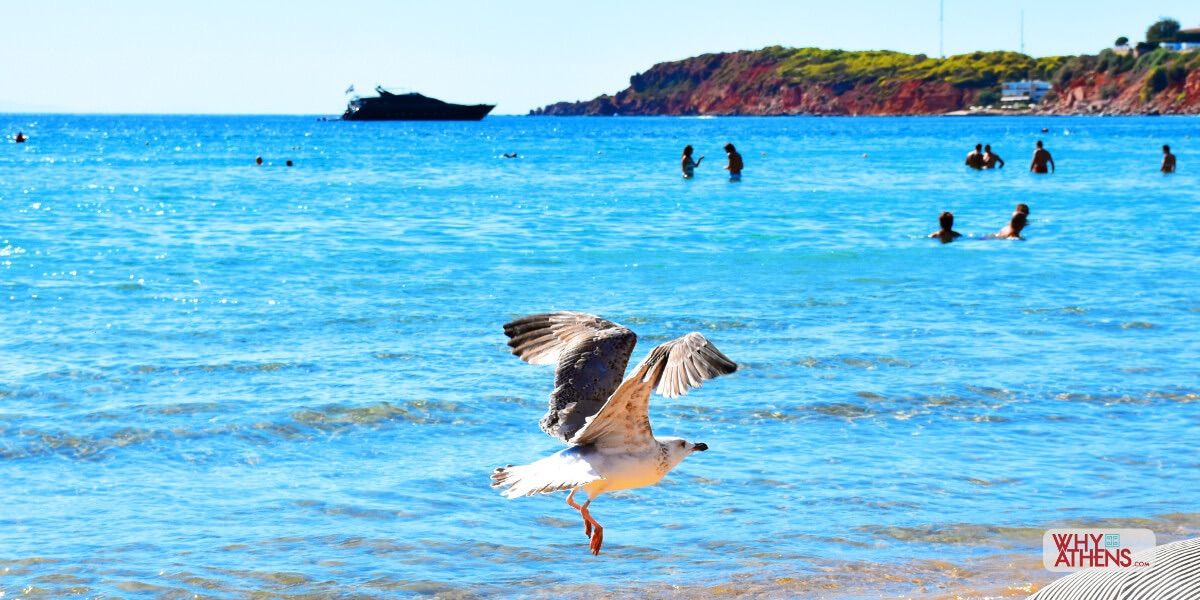 Best Beaches in Athens Greece - Our top 5 Athens beaches for where to ...