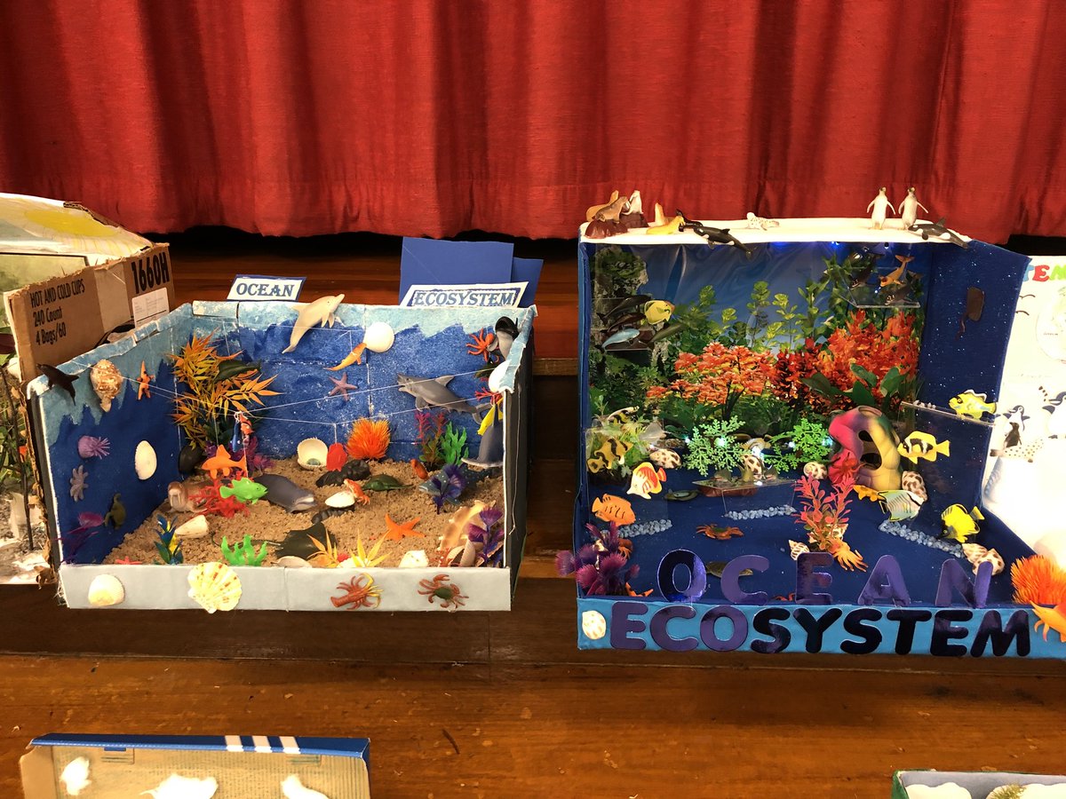 Ocean Ecosystem Project
