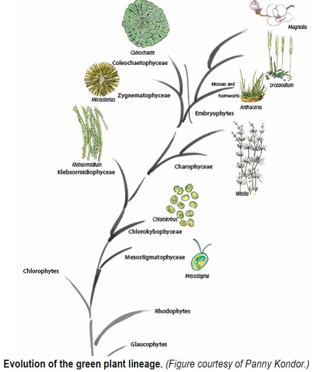 Insaf HAMDI (@insaf90) | Twitter