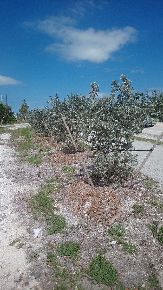 Ron Dombrowski (@Ron_Dombrowski) | Twitter