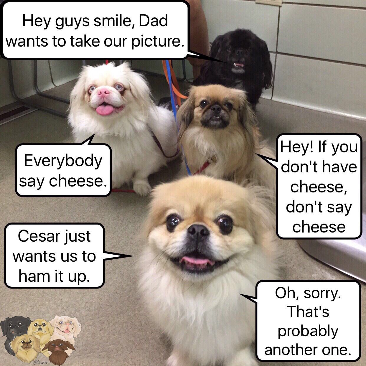 Throwback Thursday Meme Throwback Thursday Imgflip