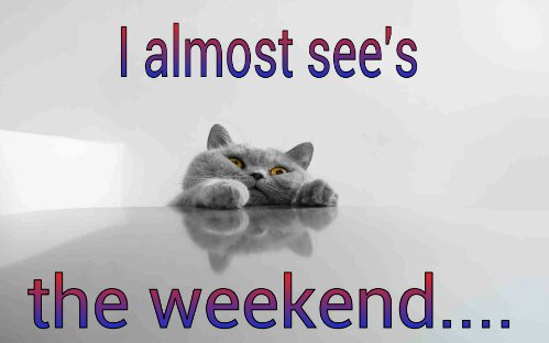 Almost Weekend Quotes