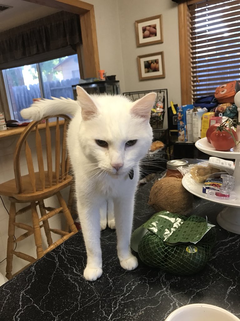 Denise (@denise_milo) | Twitter