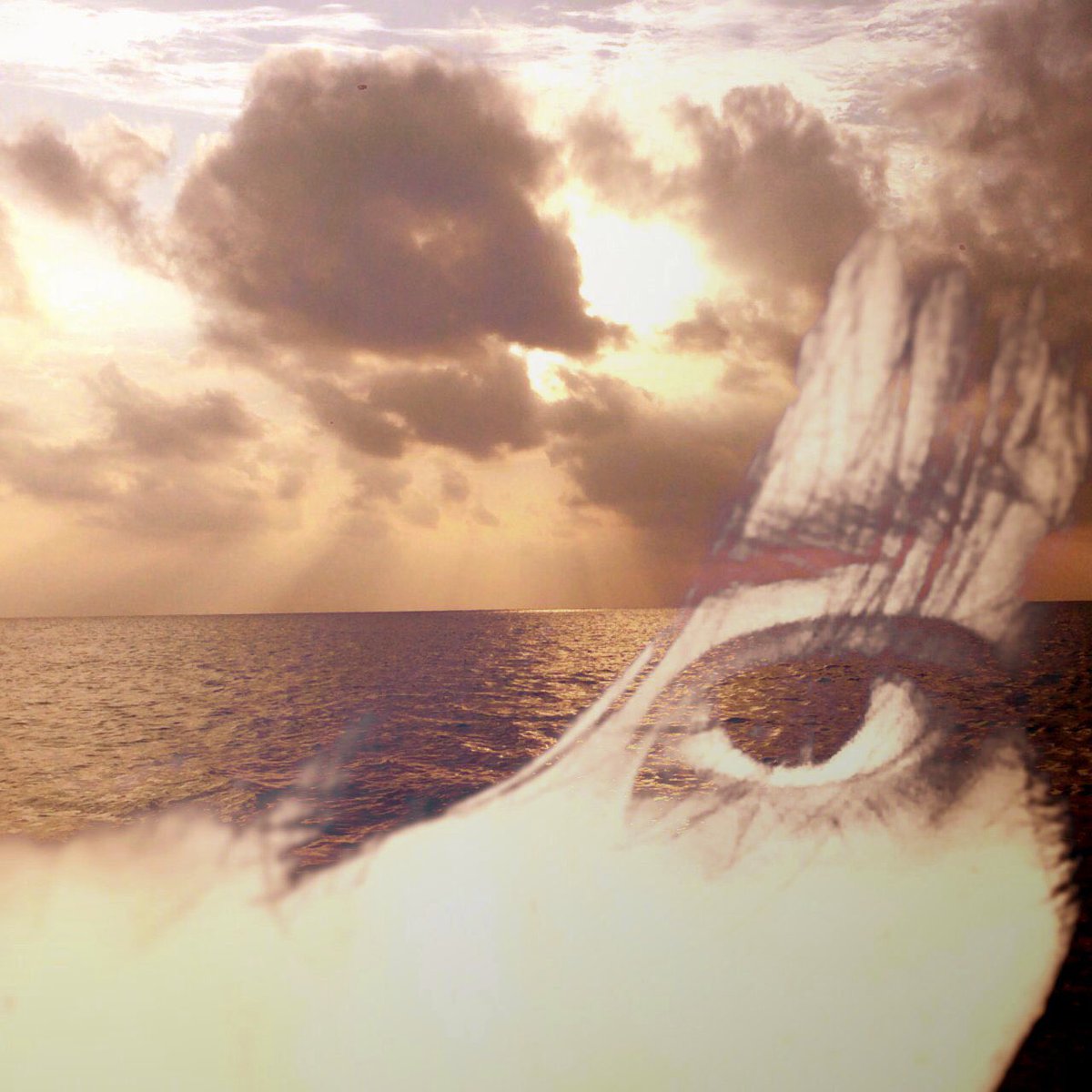 ユズノキ (@yznk_BC) | Twitter