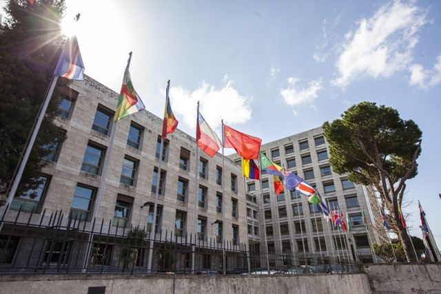 Fao Headquarters Address Rome Azerbaijani Room” Opened At FAO