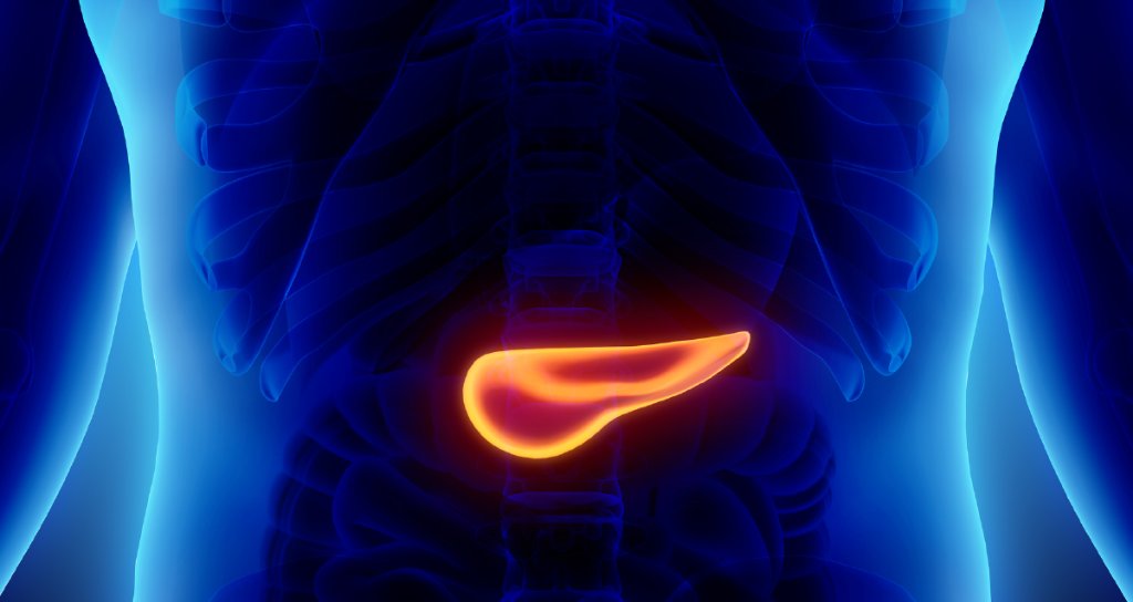 True or false: You can live without your pancreas. | WebMD | Scoopnest