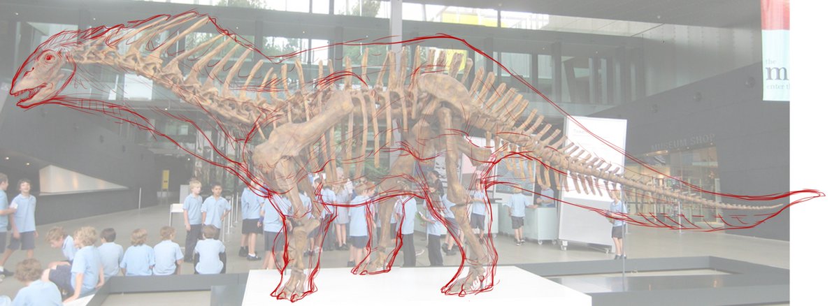 Amargasaurus Skeleton