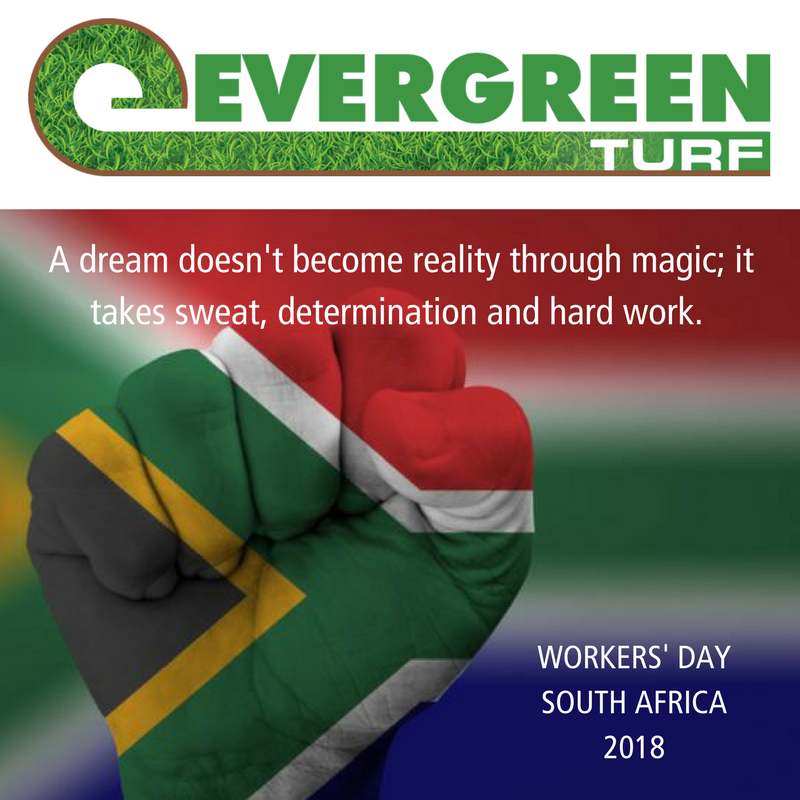 Evergreen Turf (@evergreenturfZA) / Posts / X