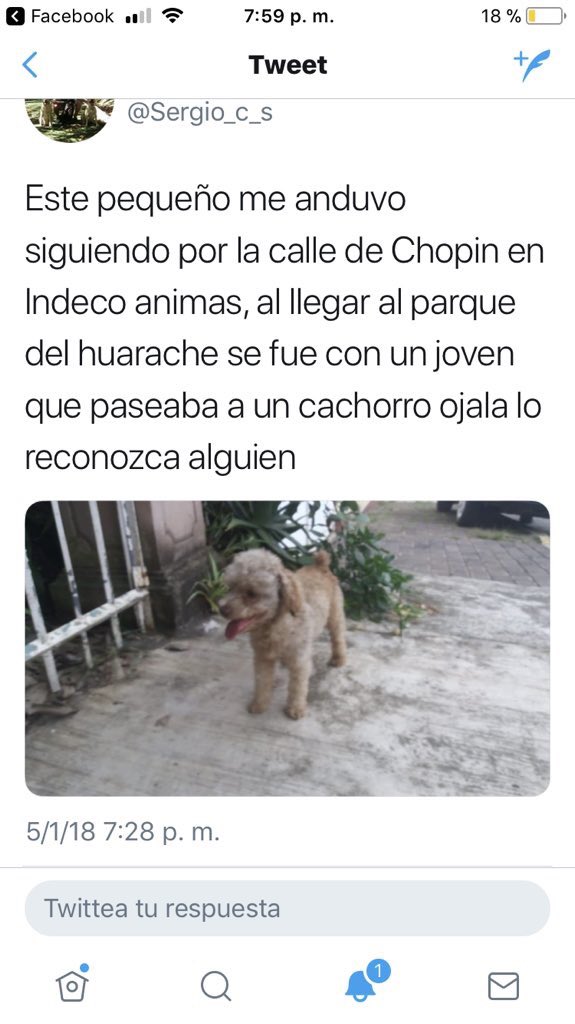 Me Estoy Contactando - citastafootleemb’s diary