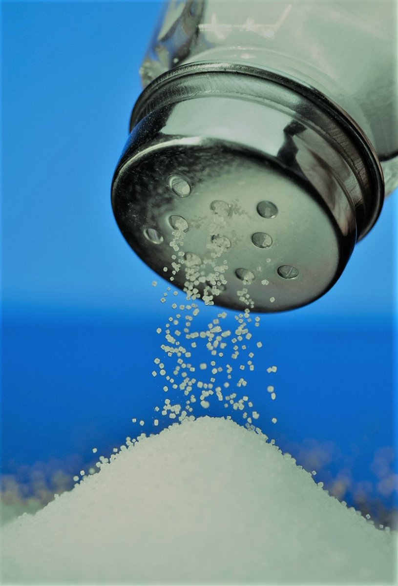 Elaine Gantz Wright (@ellagantz) | Twitter