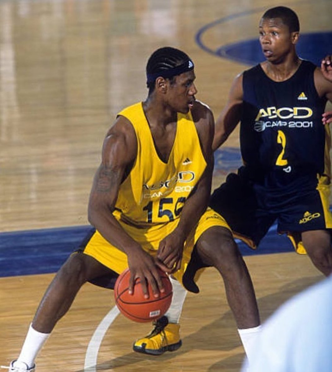 Sebastian Telfair Lebron