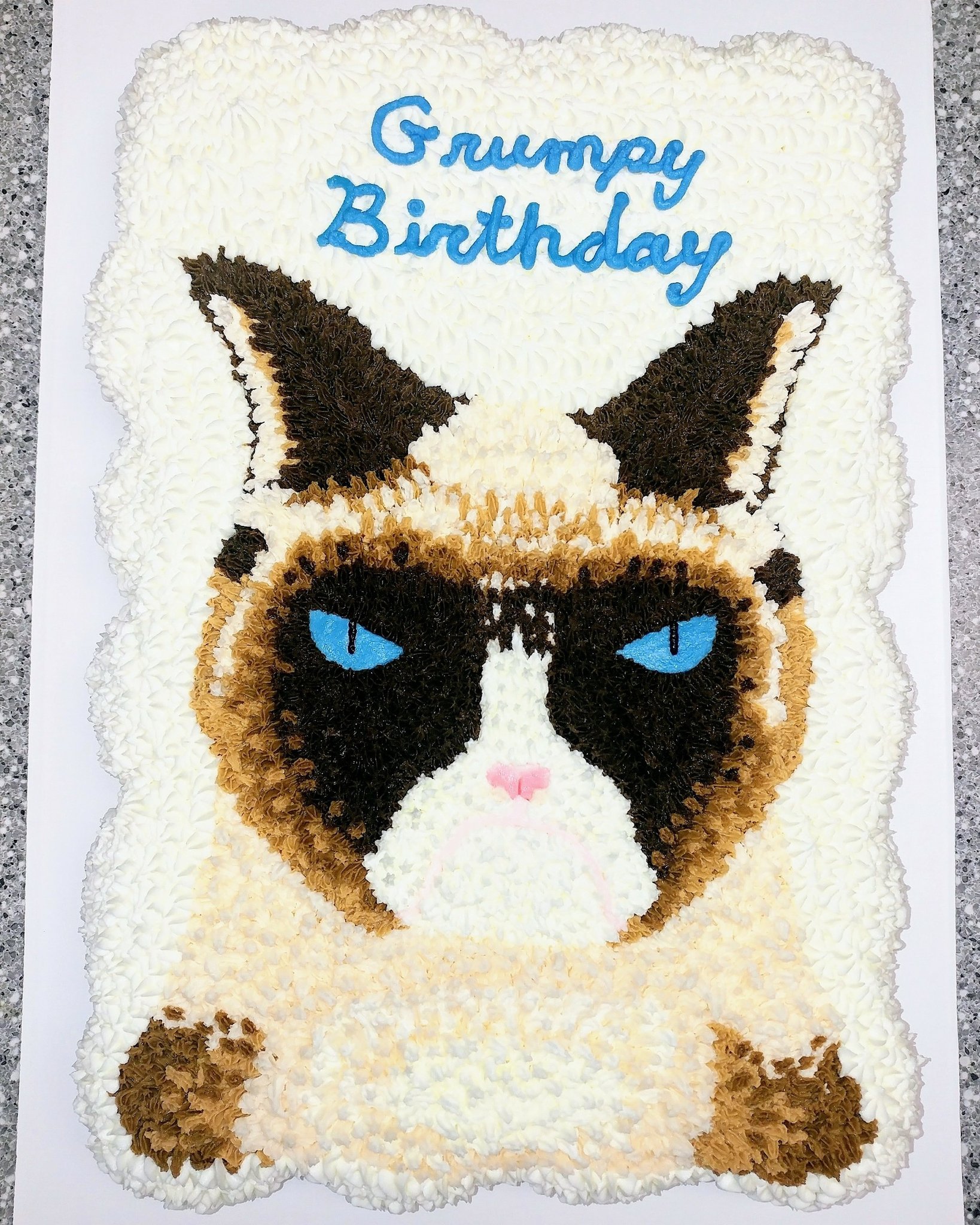 Grumpy Cat Birthday Cake Meme