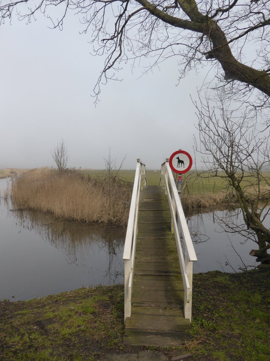 wentinkj (@joost_wentink) | Twitter