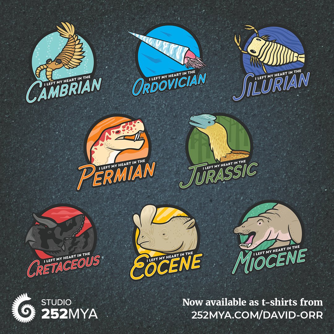 Studio 252MYA on Twitter: "We’re planning to expand this series by @anatotitan! Which animals ...