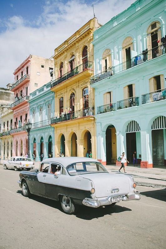 سلام (@unicamel_) | Twitter