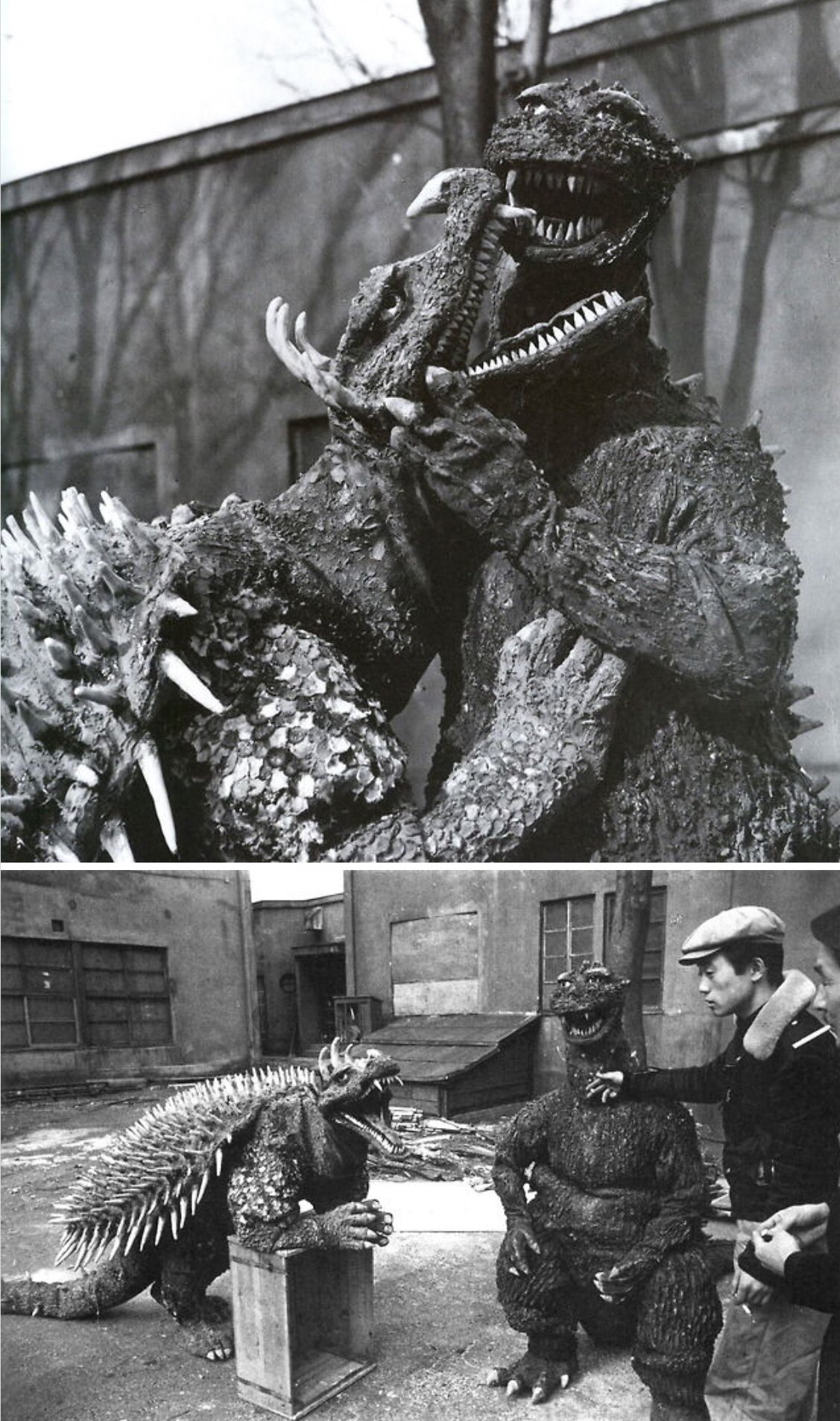 Godzilla Vs Anguirus 1955