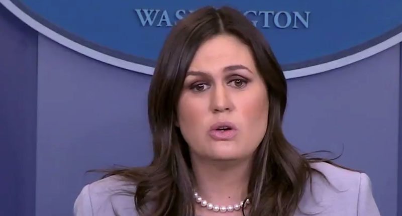 Sarah Shy's Instagram, Twitter & Facebook on IDCrawl