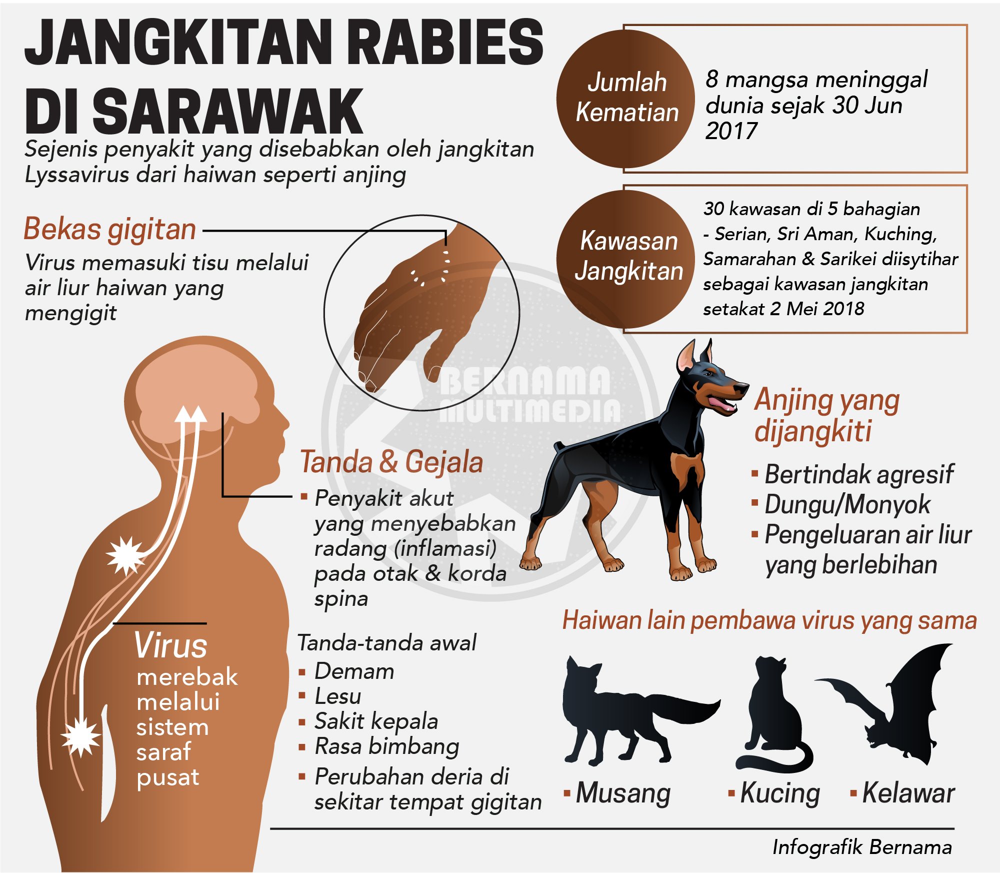 BERNAMA on Twitter: "[Infografik] Jangkitan #rabies di Sarawak https://t.co/ChcTZc7w7i" / Twitter