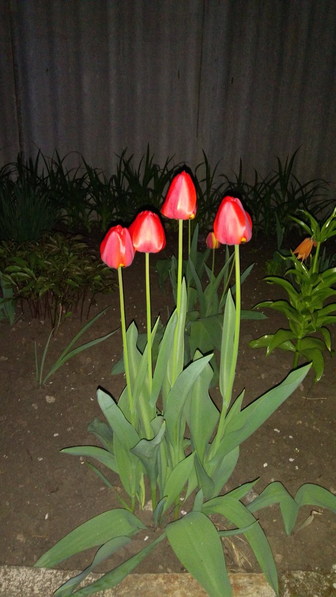 Evgeniy Efimov (@EvgeniyDnepr390) | Twitter