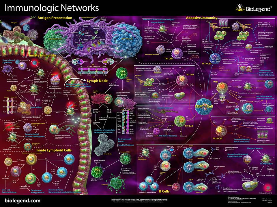 Virtual Immunology Eposter | IMMUNOLOGY2025™ Exclusive Posters and ...