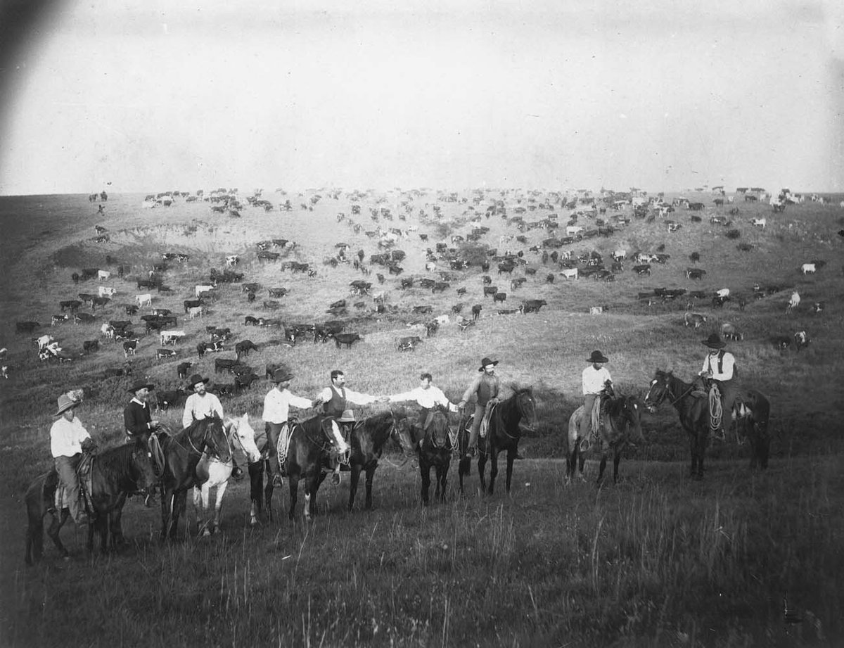 Barbara Damron (@barbara_damron) | Twitter