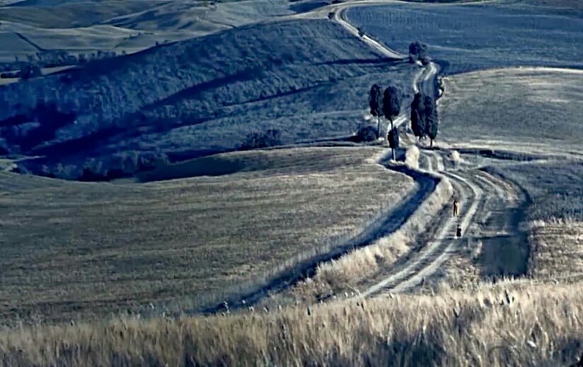 Elysian Fields Gladiator