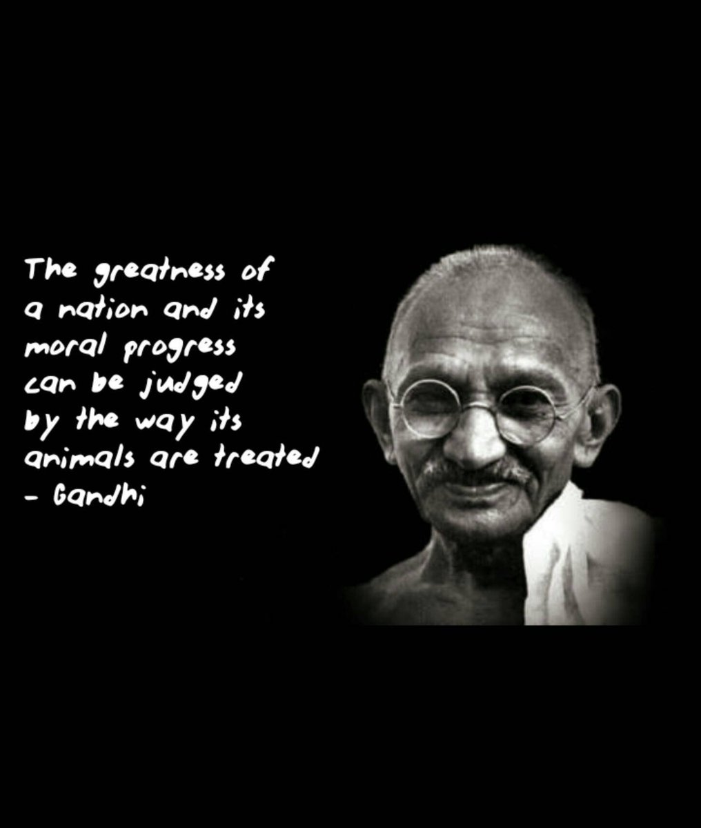 Gandhi Quotes Animals