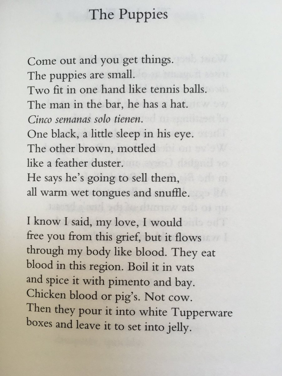 Line Sonnet Poems About Life