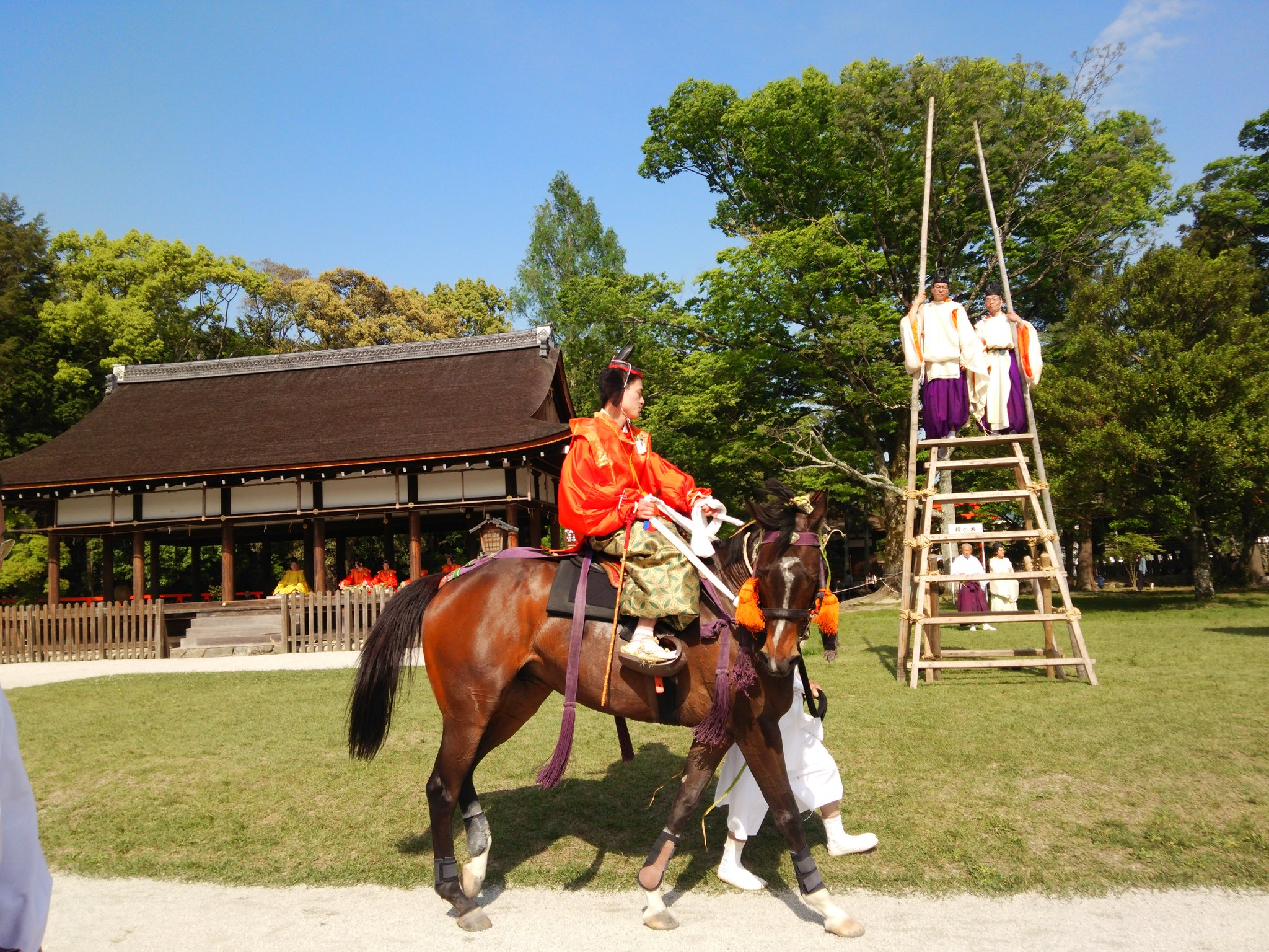 すみれの言葉 on Twitter: "上賀茂神社で競馬見物。…