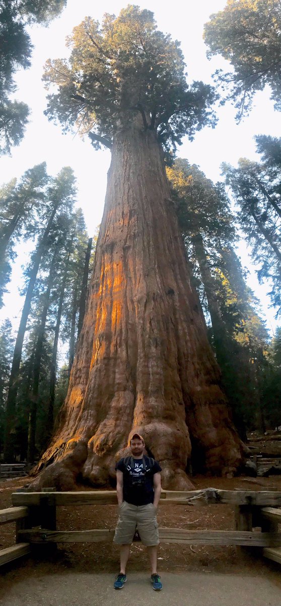General Sherman Tree Comparison