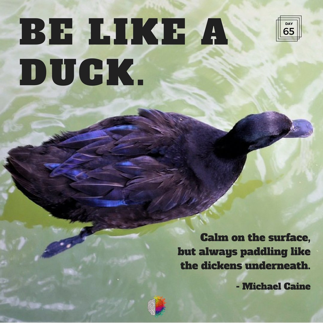 Ducky Mallard Quotes