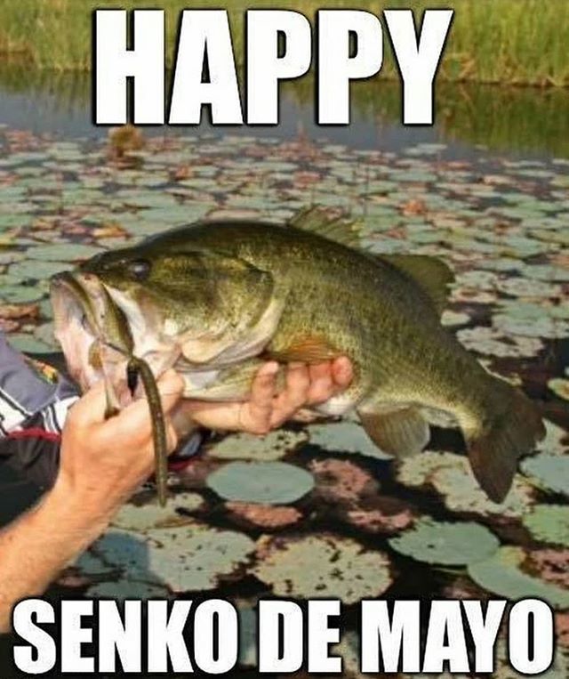 Funny Bass Fishing Memes