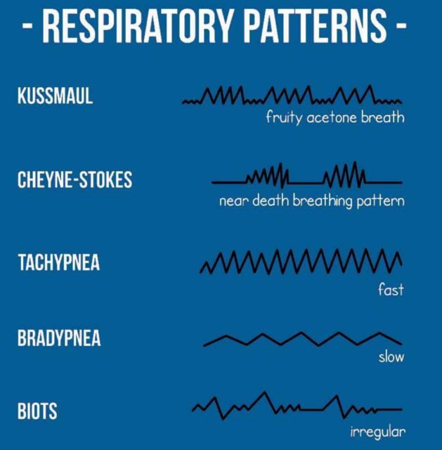 Respiratory Breathing Patterns