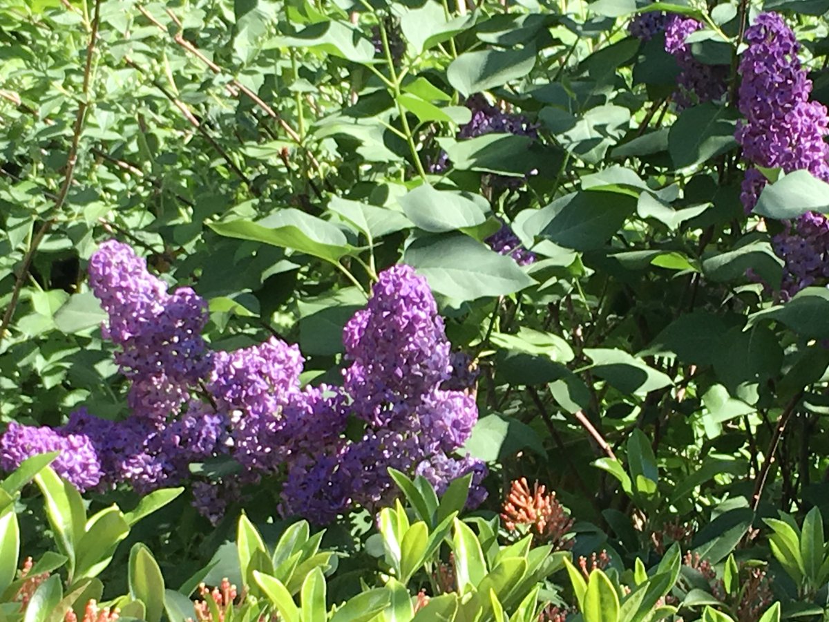 KST engineering (@KSTsystems) | Twitter