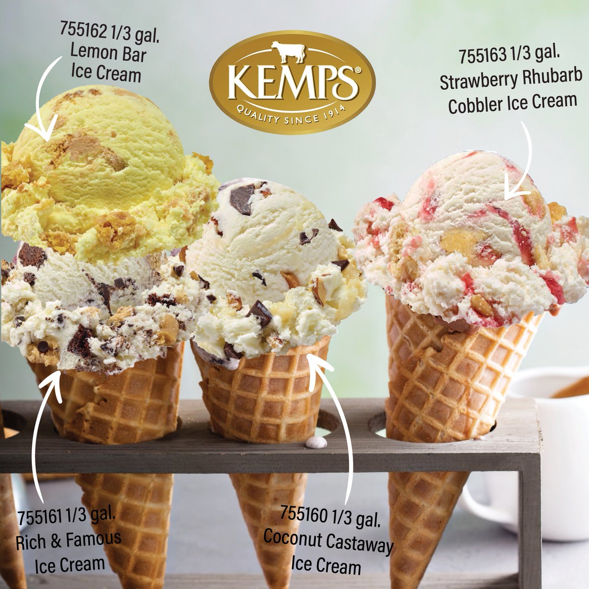 kemps ice cream
