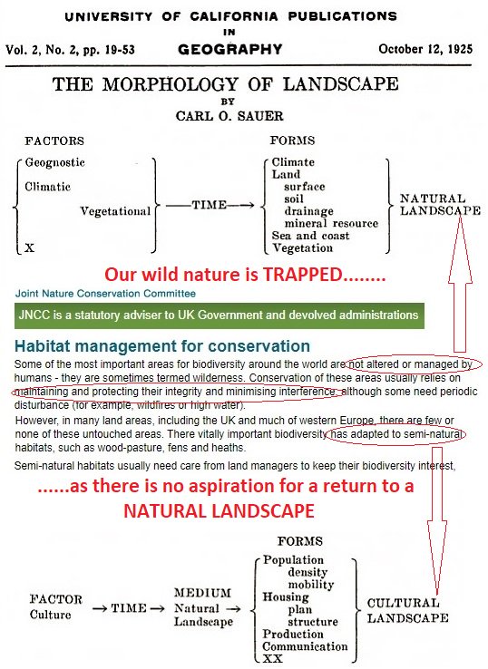 Cultural Landscape Carl Sauer
