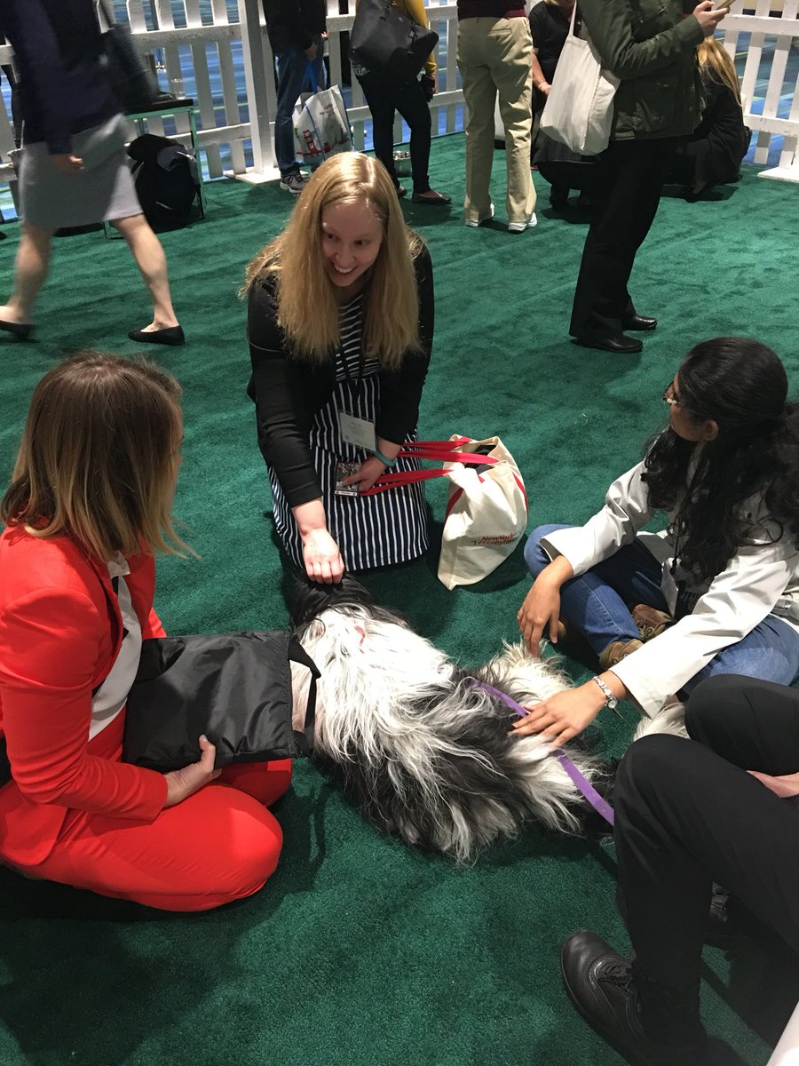 Kate Kyler (@kedkyler) | Twitter