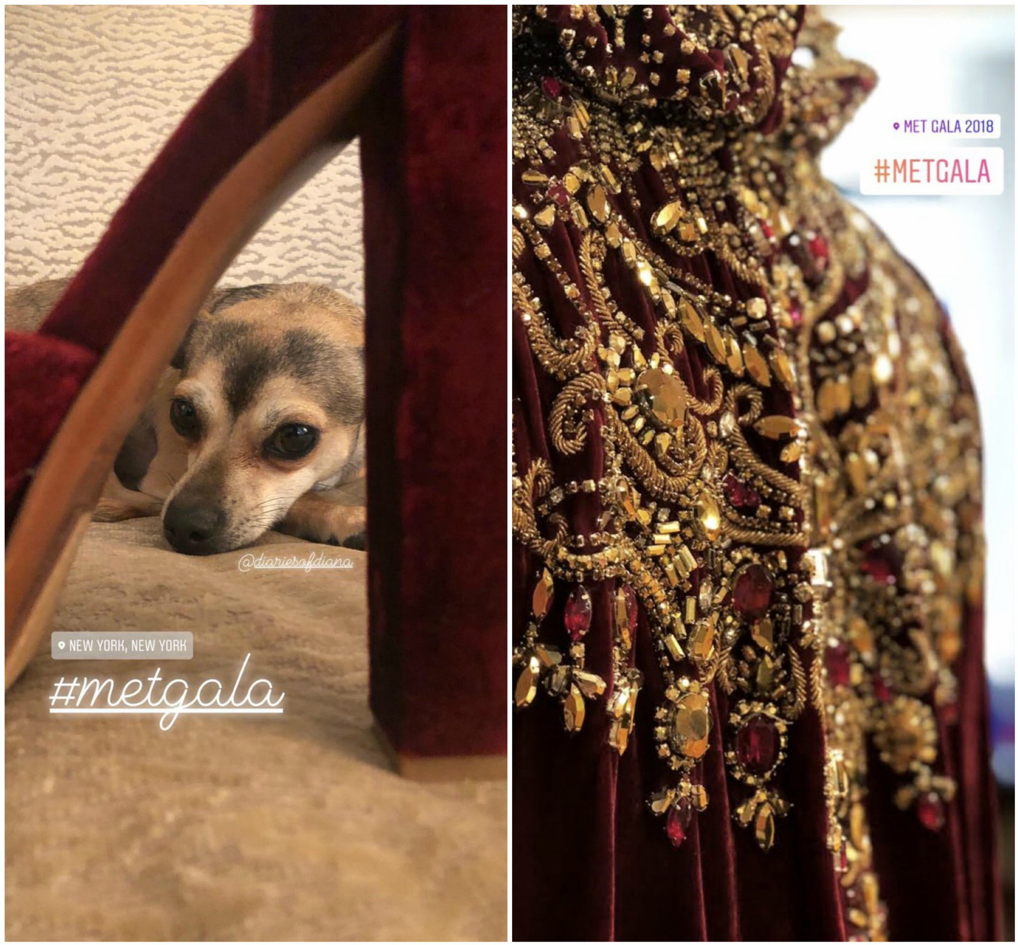 PRIYANKA PORTAL on Twitter: "#MetGala sneak peak! Royal much? @priyankachopra @TeamPriyanka 👑 # ...