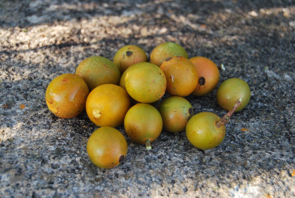 Thread by @Victor_fancies: "Well well well, ladies and gentlemen, kids ...