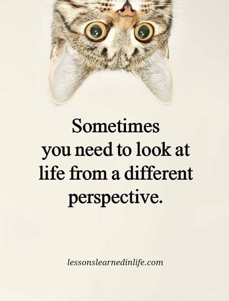 Life In Perspective Quotes Benny Christian On X: "Sometimes You Need