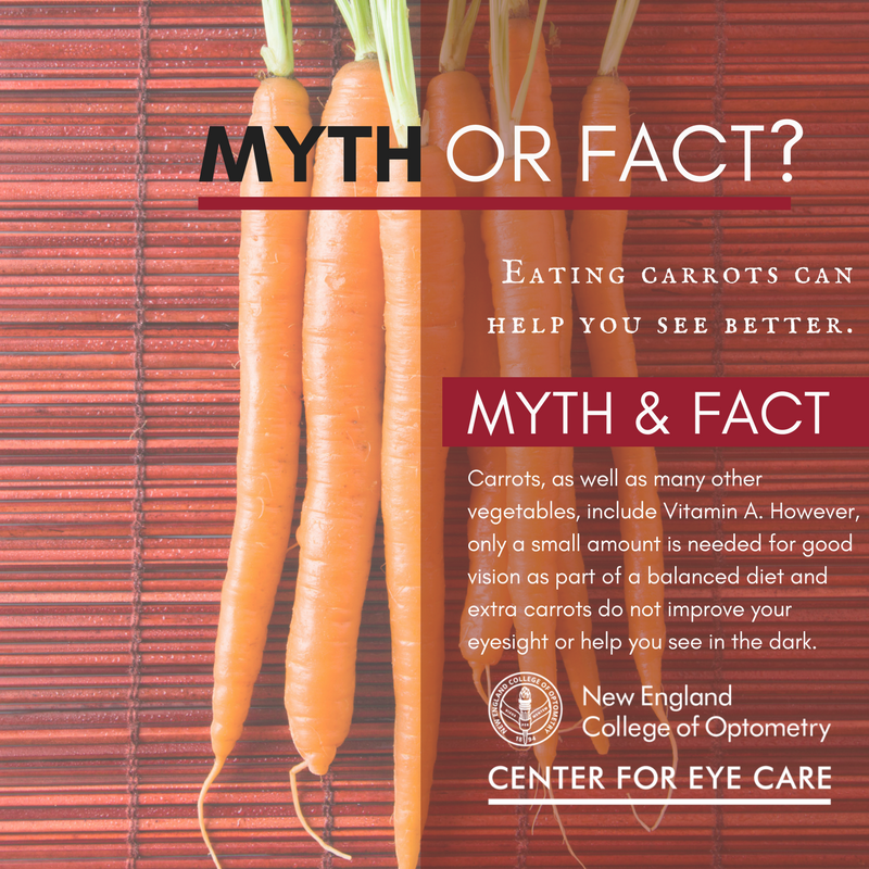 Do Carrots Help Dogs Eyesight