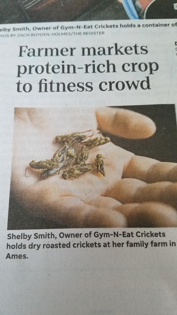 Stacy Dobernecker on Twitter: "Ames Tribune employs #DontPardonMyFrench word "niche" in article ...