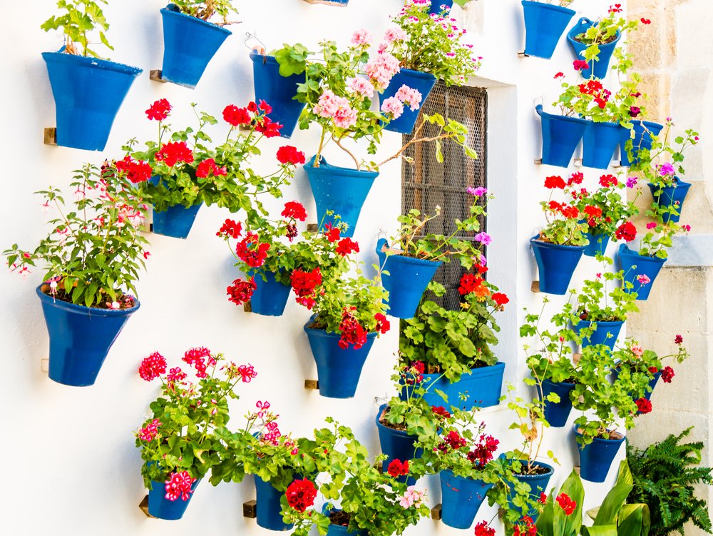 Vanee (@vanessa_pummer) | Twitter