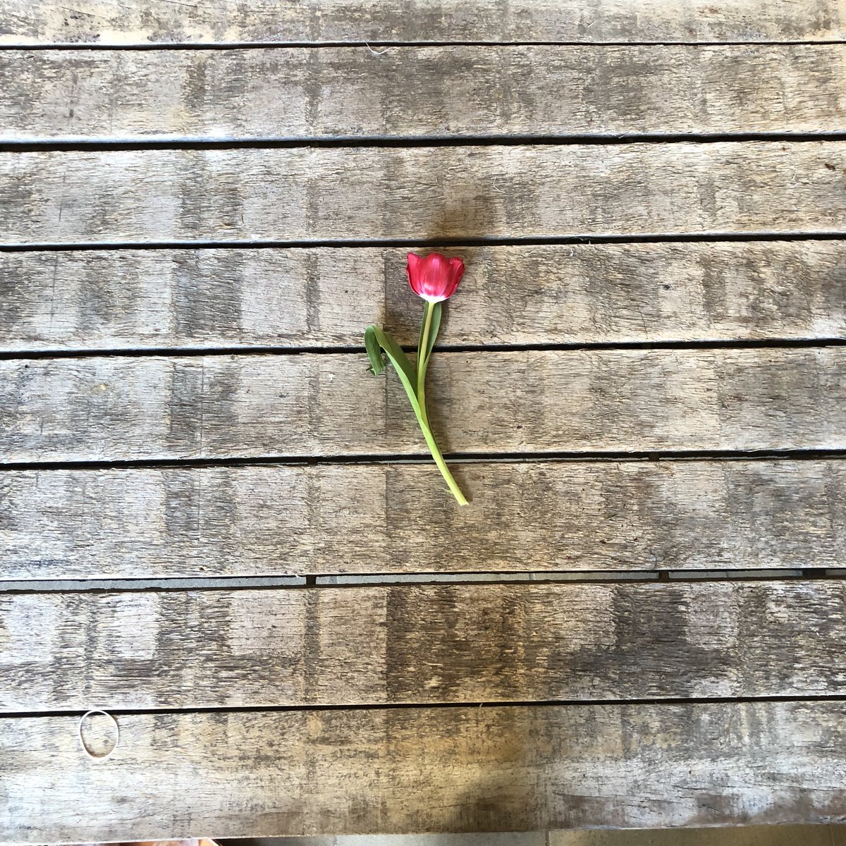 Soborno Saiful (@saiful_soborno) | Twitter